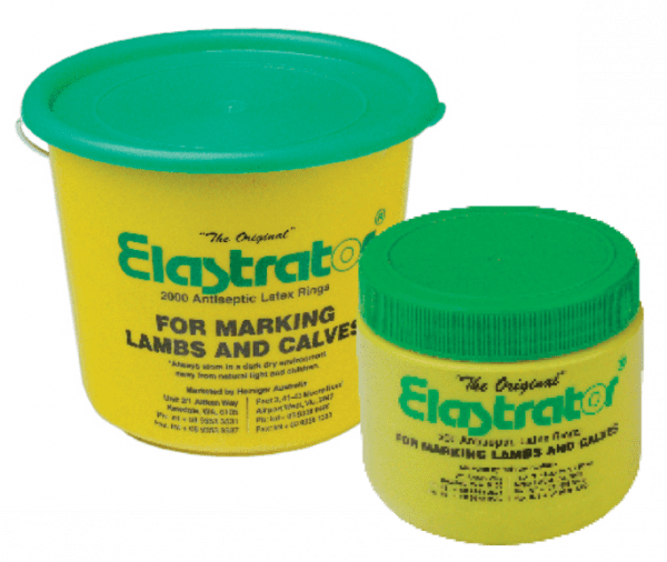 Calf & Lamb Marking Rings – 500 – Walcha Veterinary Supplies